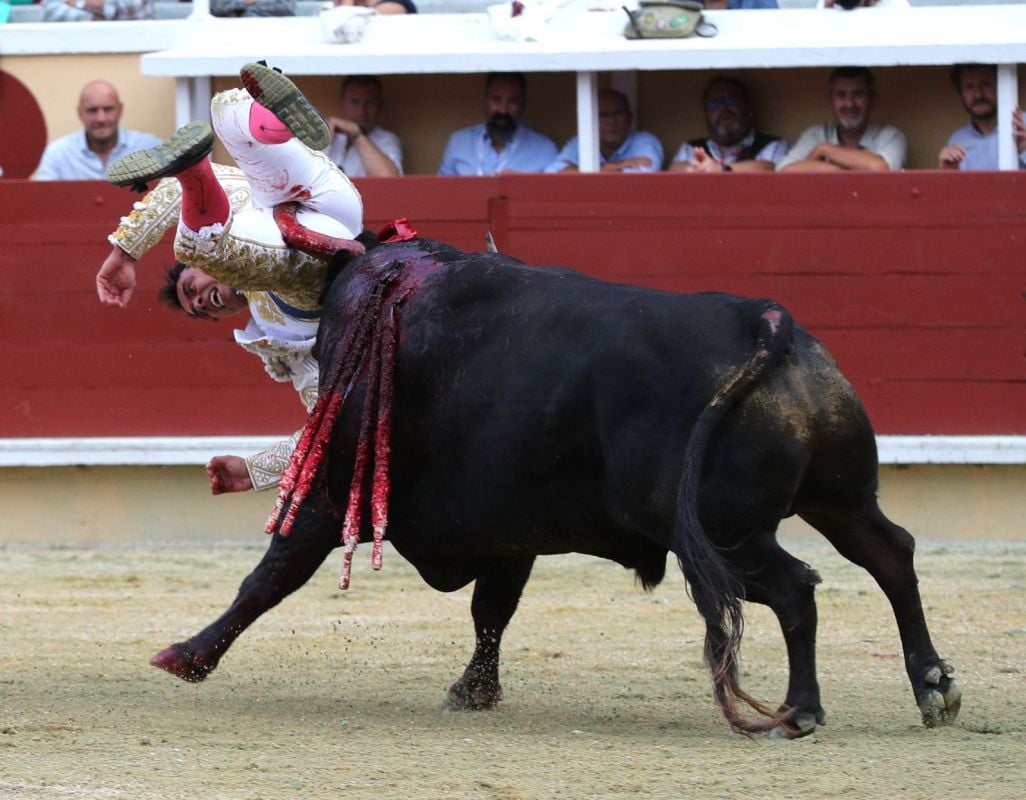 Milagro en Bayona: la cornada que casi cuesta la vida al torero Juan de ...