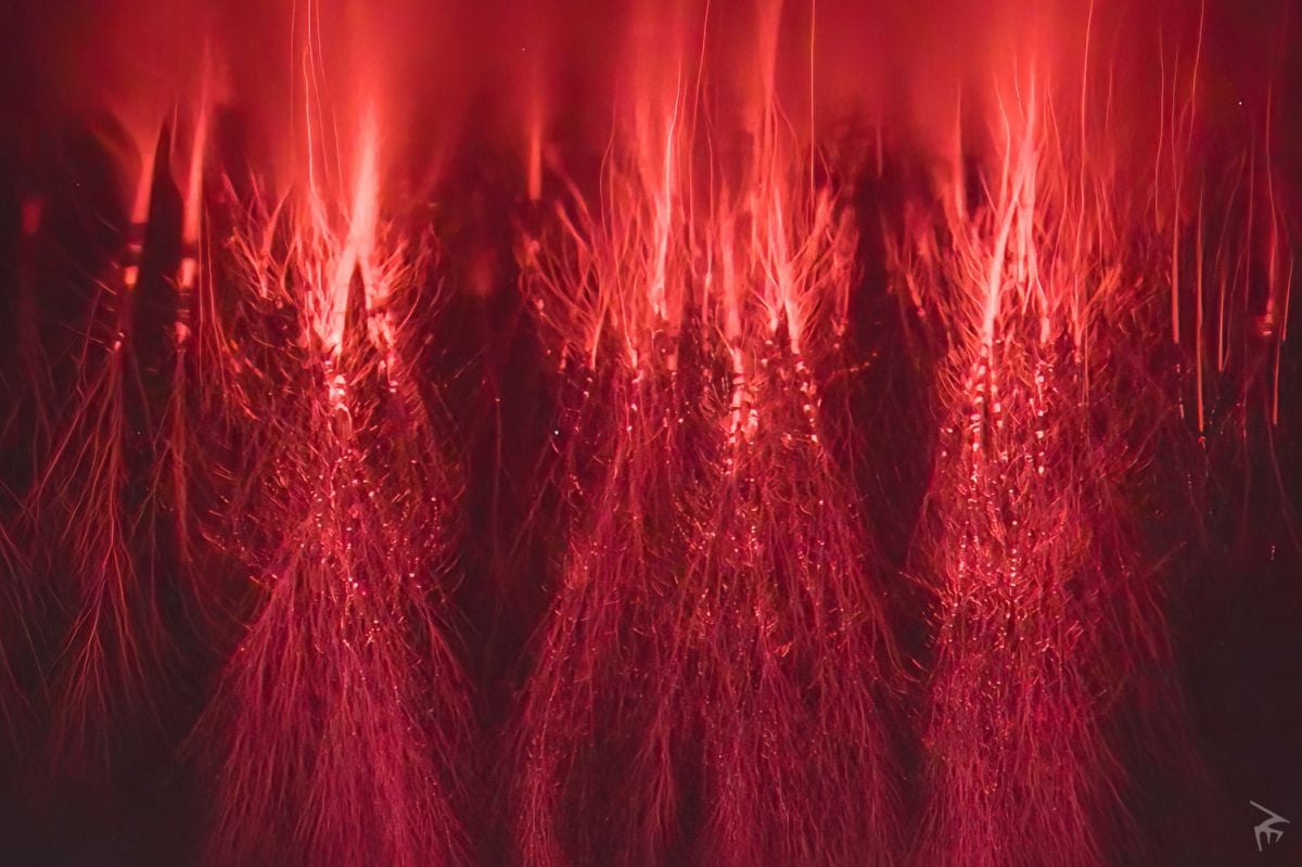 Los sprites o espectros rojos: el misterioso fenómeno luminoso que ...